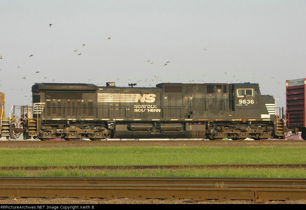 NS 9636